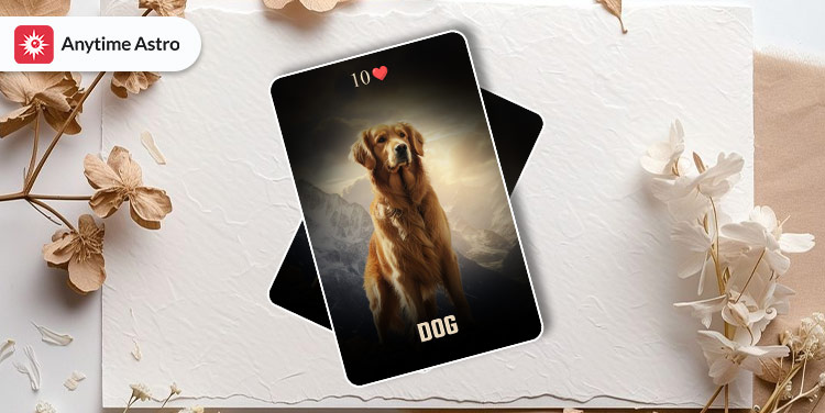 The Dog Lenormand Card Meaning, Interpretations, and Combinations