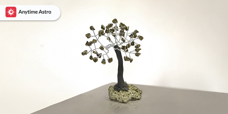 Money Magnet Pyrite Tree Benefits: Boost Wealth & Prosperity
