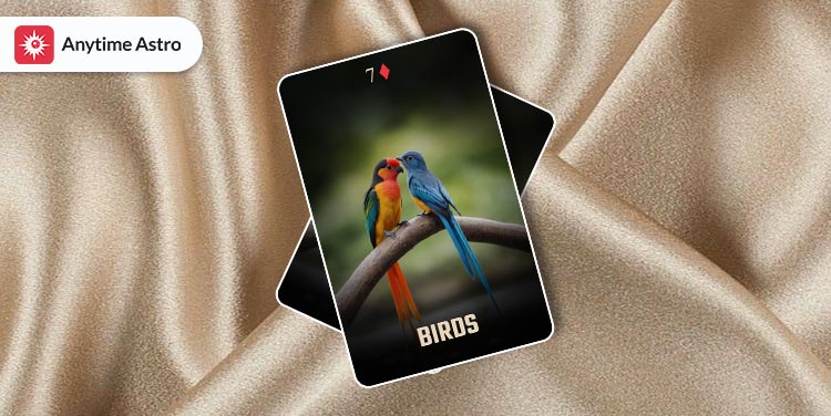 The Birds Lenormand Card Meaning, Interpretations, and Combinations