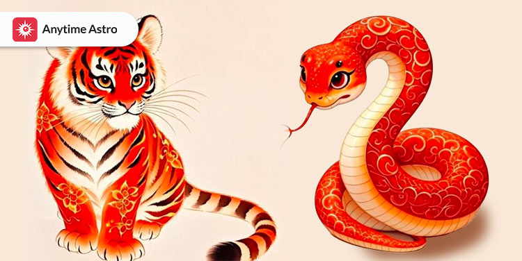 Tiger snake chinese zodiac compatibility 60 photos - Astrologytoyou.com