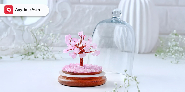 What Are the Benefits of the Love Attraction Tree?